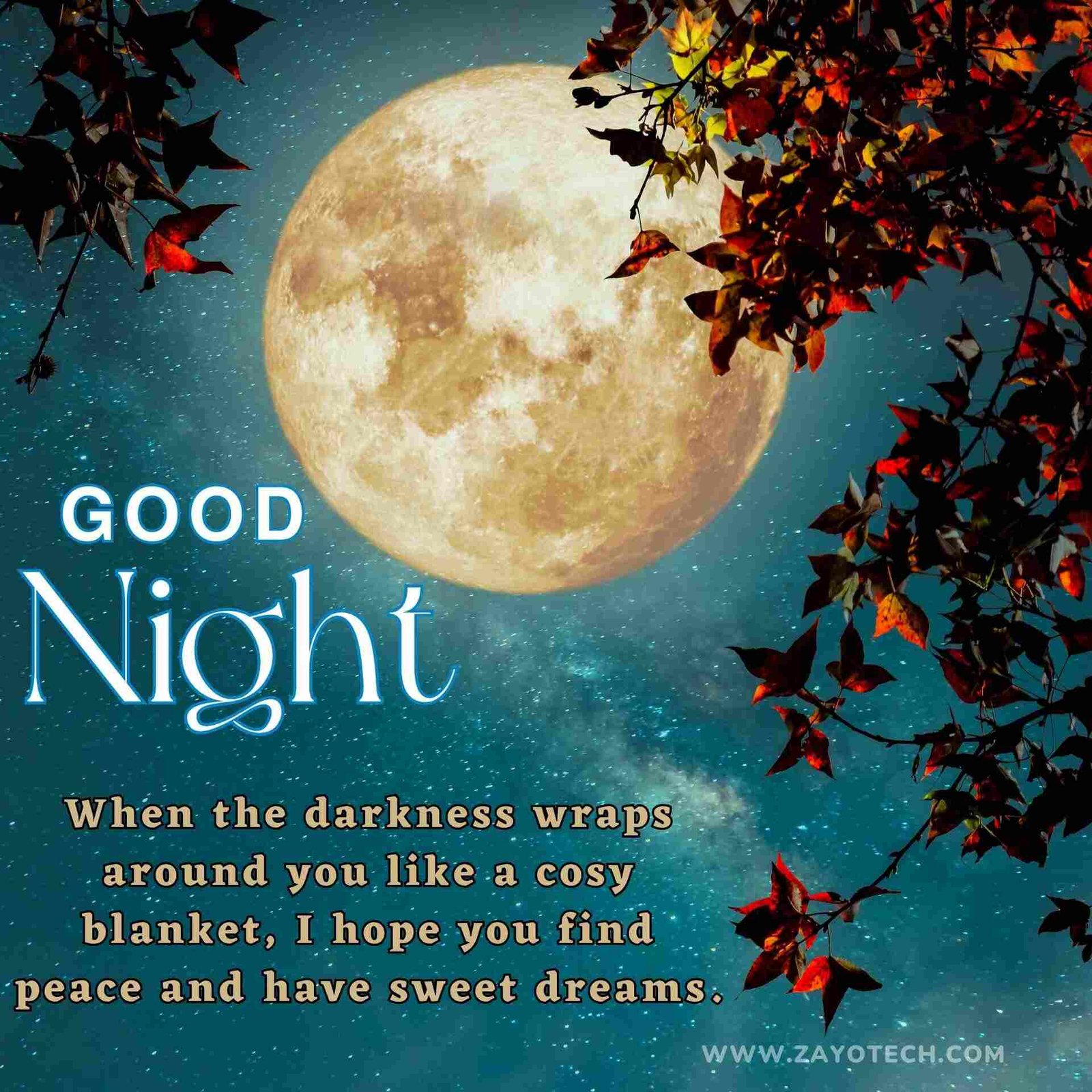 101+ Good Night Wishes, Quotes, Images, Messages & Greetings